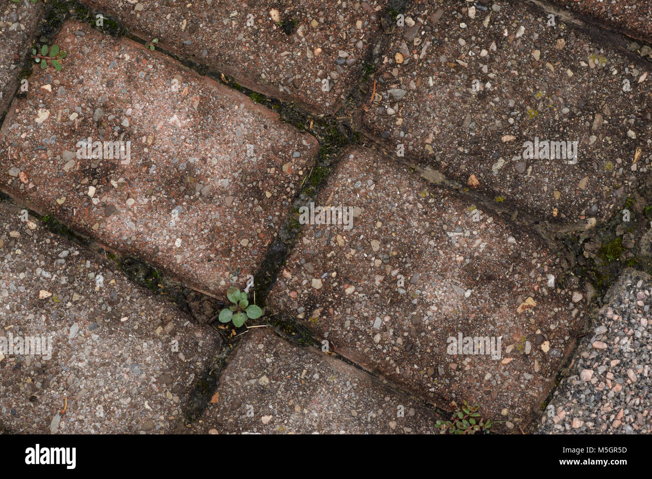 Cobblestone brick walkway Stock Photo - Alamy