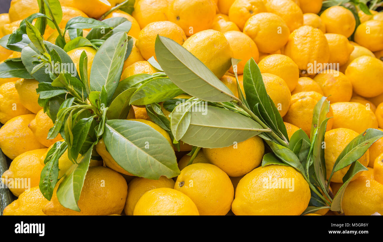 Fresh lemons on a market Stock Photo - Alamy
