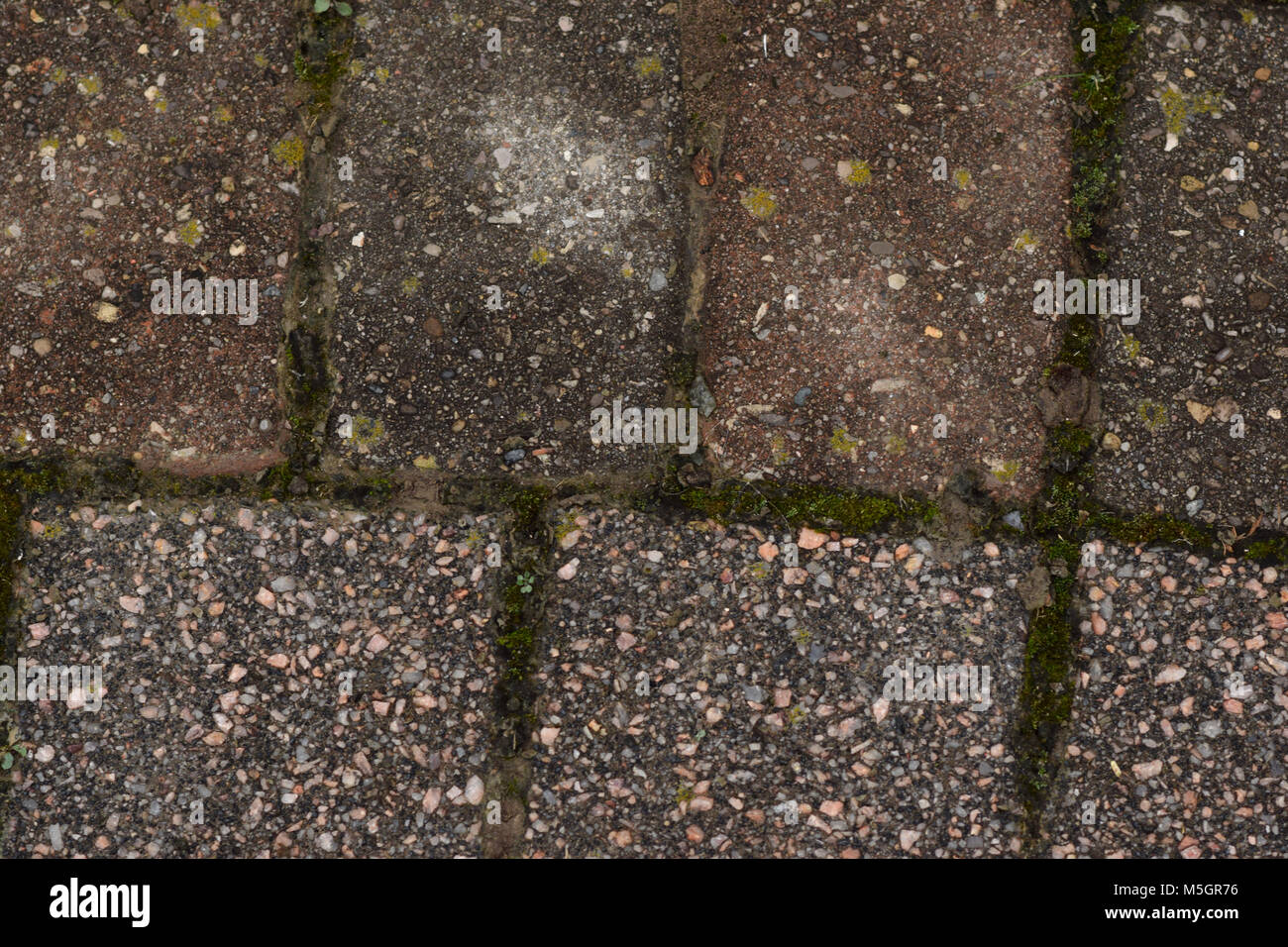 Cobblestone brick walkway Stock Photo - Alamy