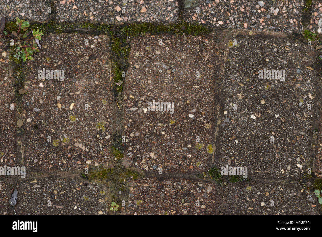 Cobblestone brick walkway Stock Photo - Alamy