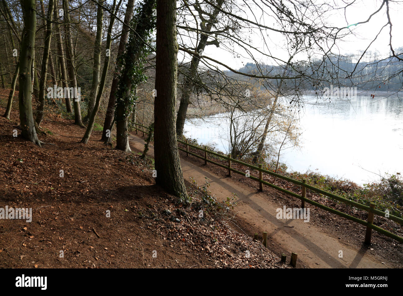 Hurcott pool hi-res stock photography and images - Alamy