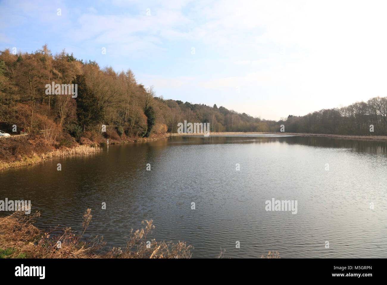 Hurcott wood hi-res stock photography and images - Alamy
