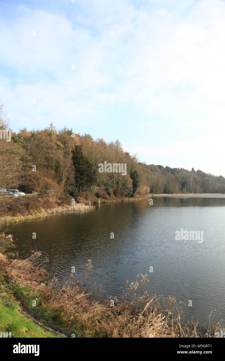 Wyre forest kidderminster hi-res stock photography and images - Alamy