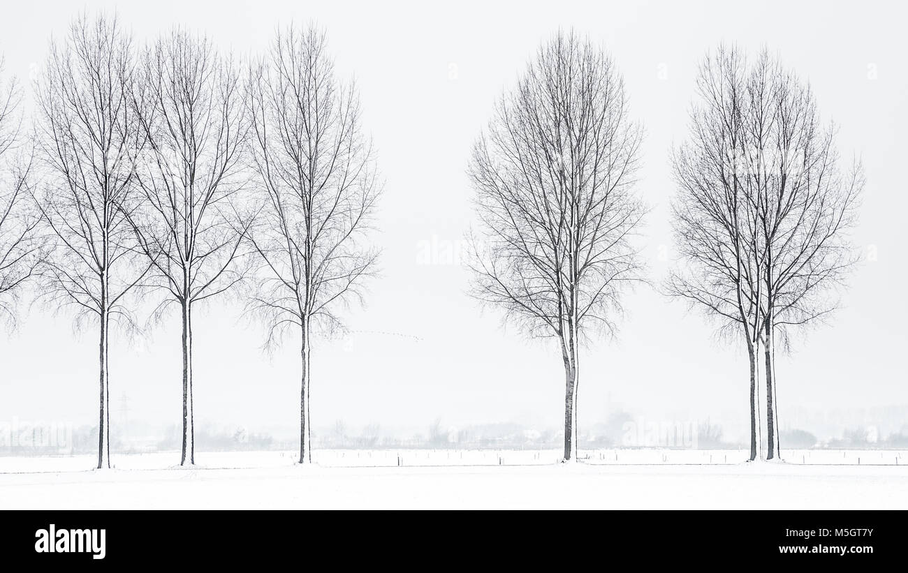 Dutch snow landscape Stock Photo - Alamy