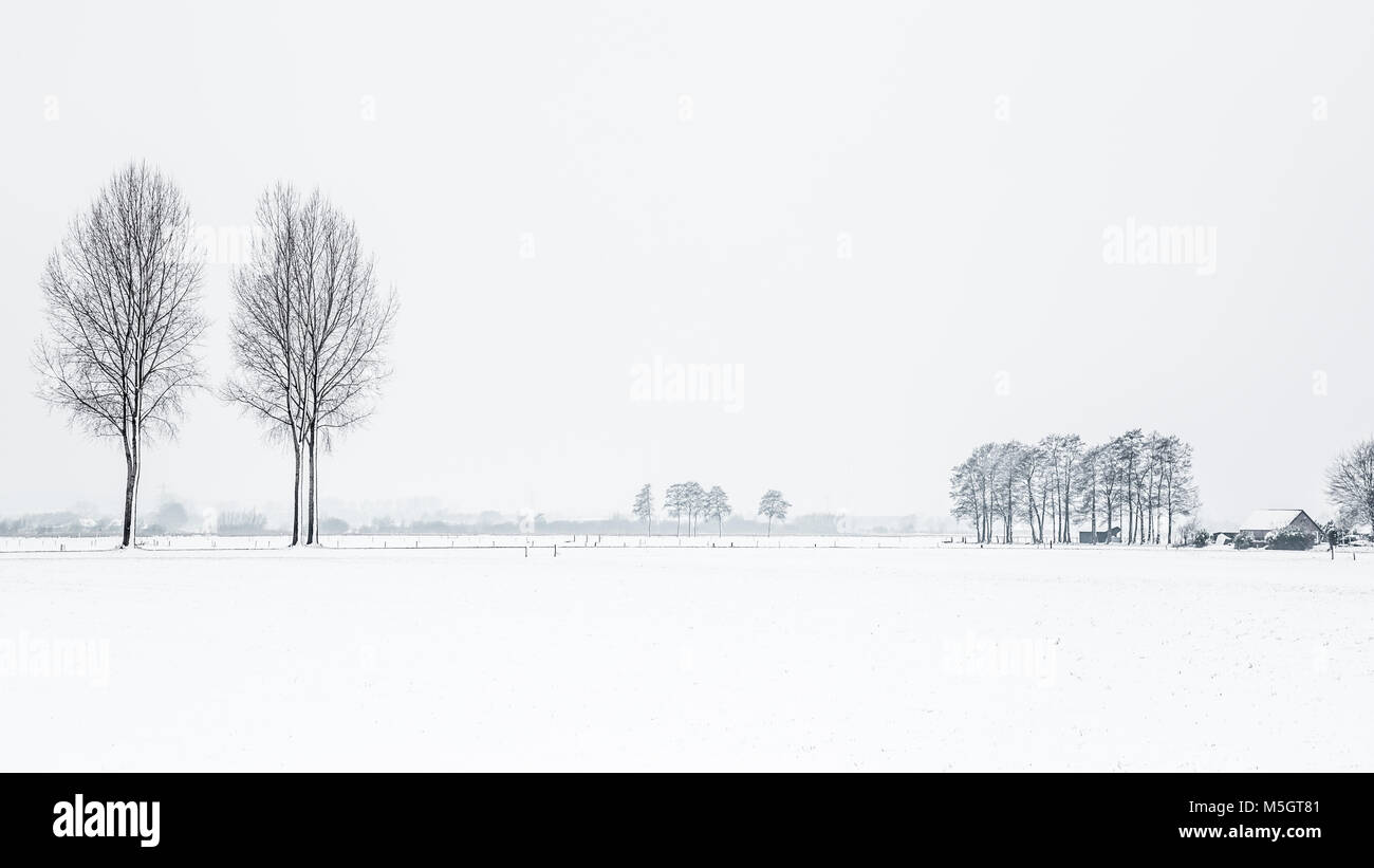 Dutch snow landscape Stock Photo - Alamy