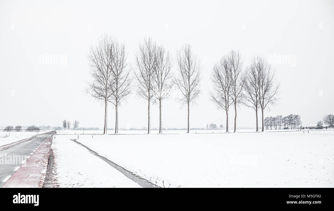 Dutch snow landscape Stock Photo - Alamy
