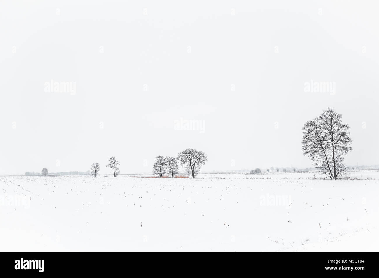 Dutch snow landscape Stock Photo - Alamy