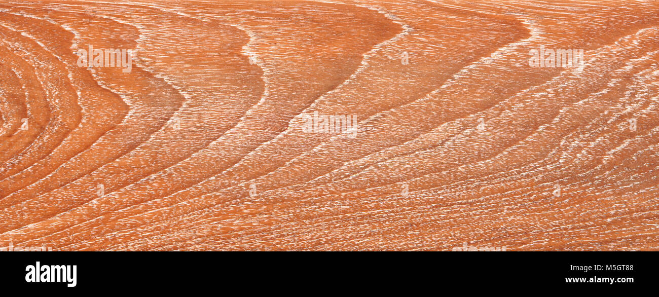 Teak wood pattern, teak wood texture, a closeup photo image on teak ...