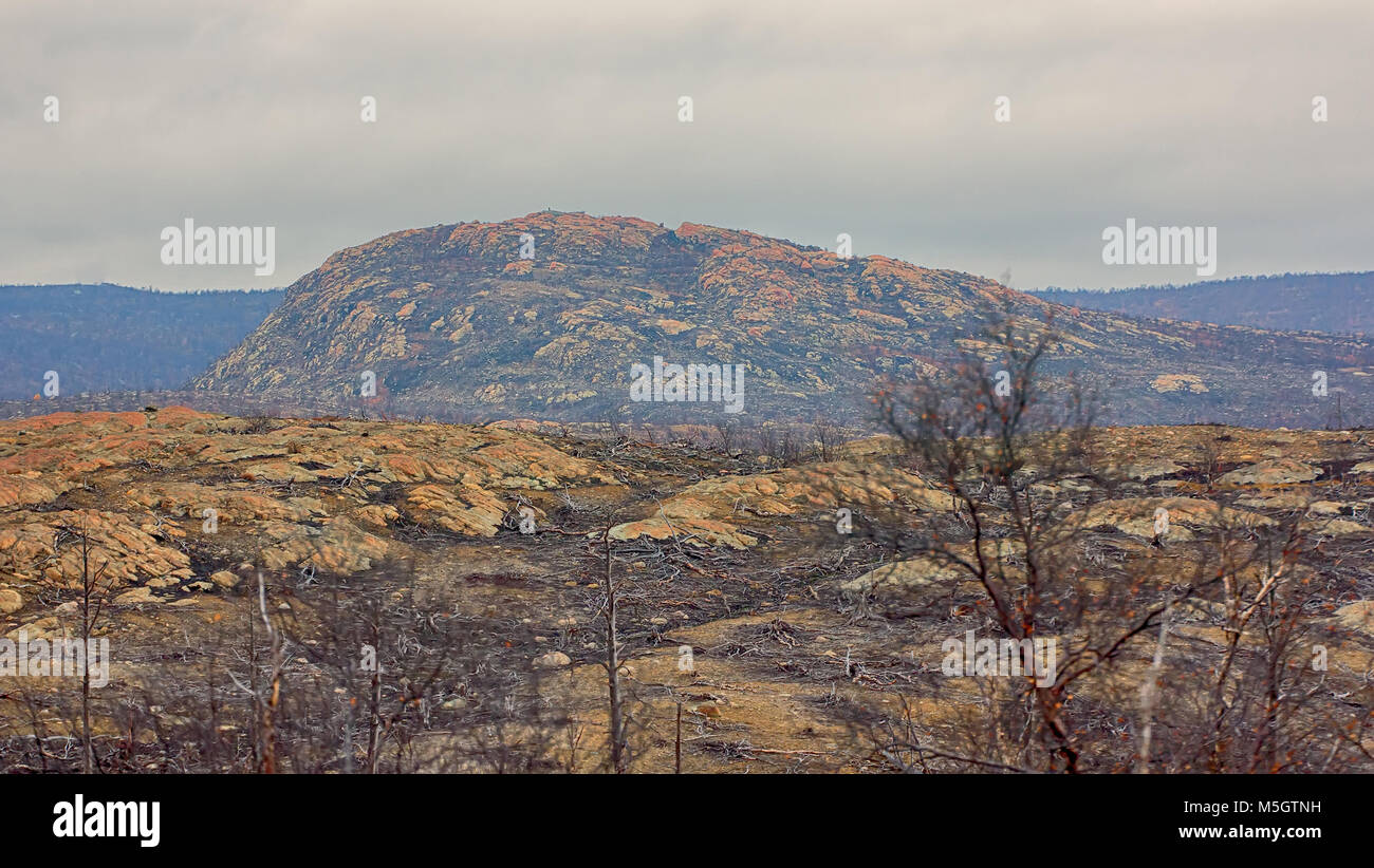 Bare rocky terrain desert woods fire, forest fire edge. Forest fires as ...