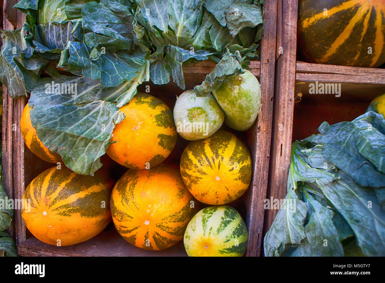 Indian vegetable market (greengrocer's) are generated from European ...