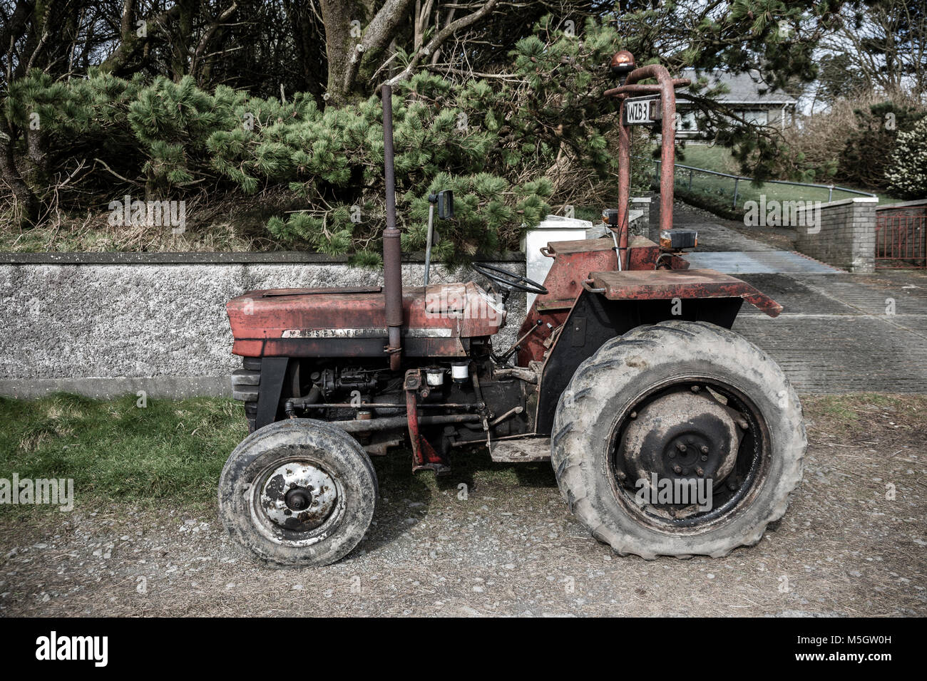 Old Massey Ferguson Tractor on country lane in Ireland Stock Photo - Alamy
