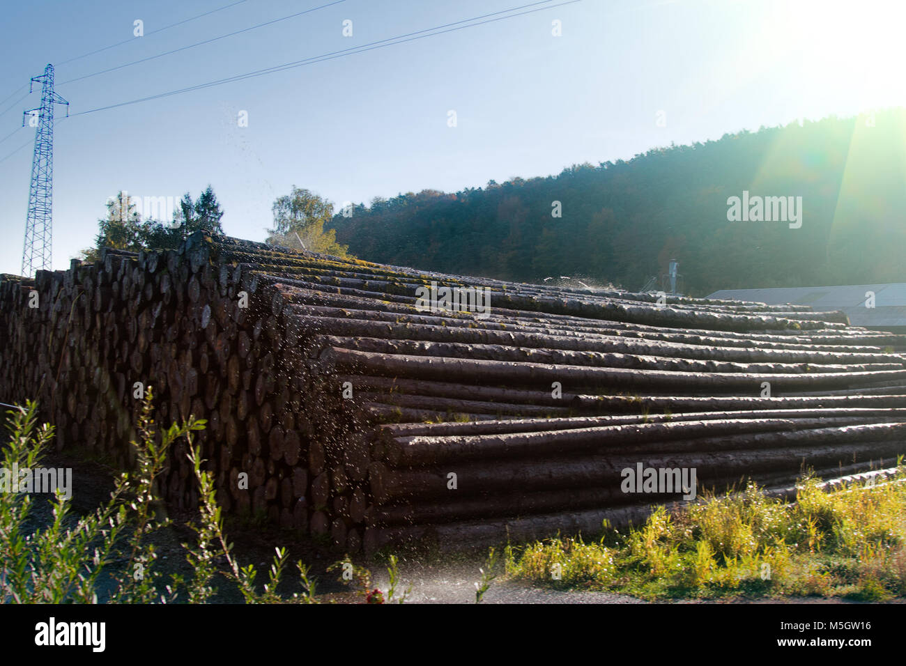 Water pile of logs (stack of logs, log deck). Sprinkler irrigation as ...
