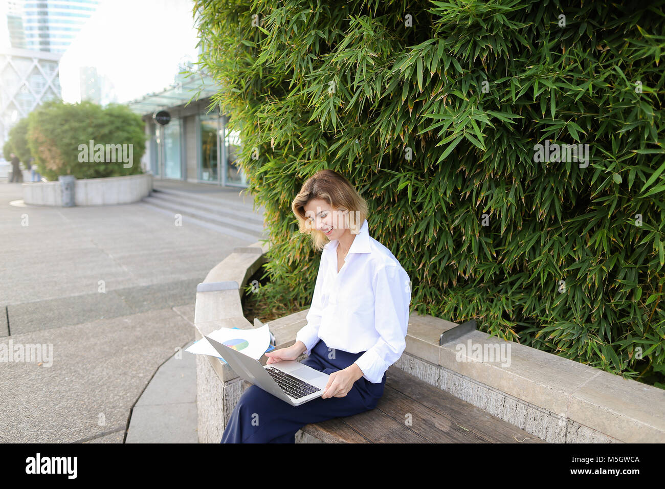 Statistician working outside with laptop and color diagrams Stock Photo ...