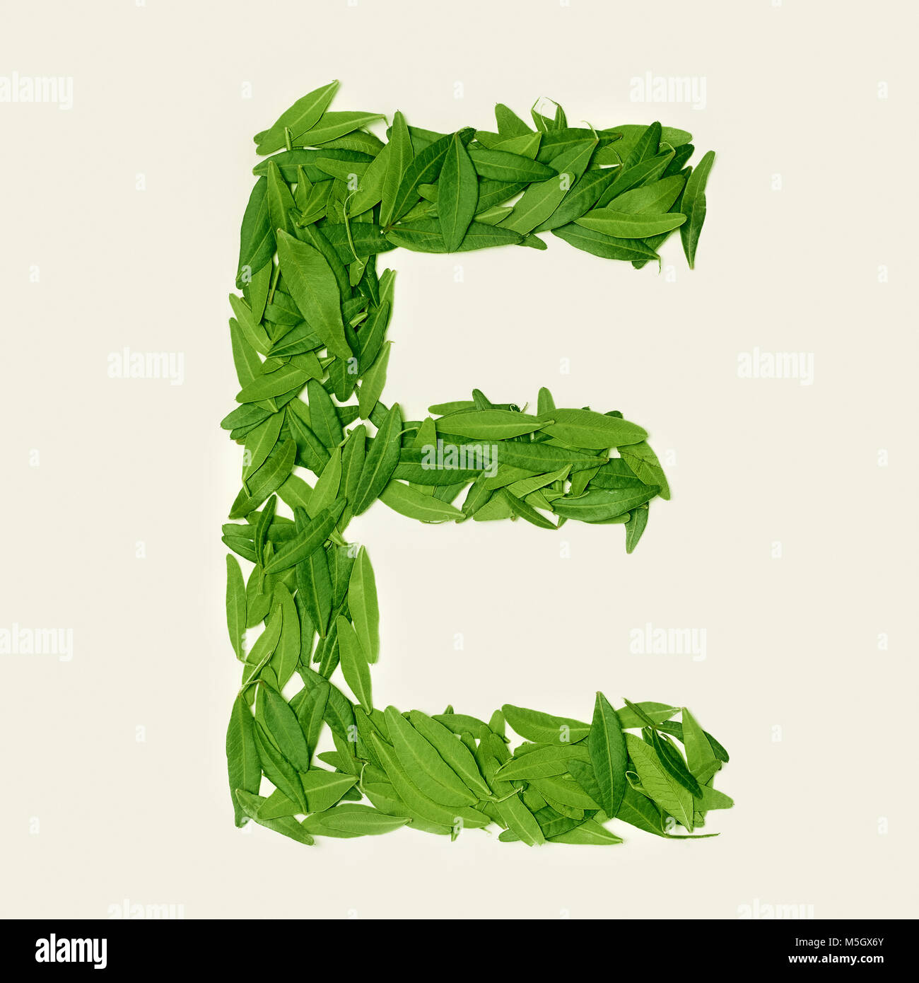 The green dry tea leaf, letter E on white background, top view Stock ...