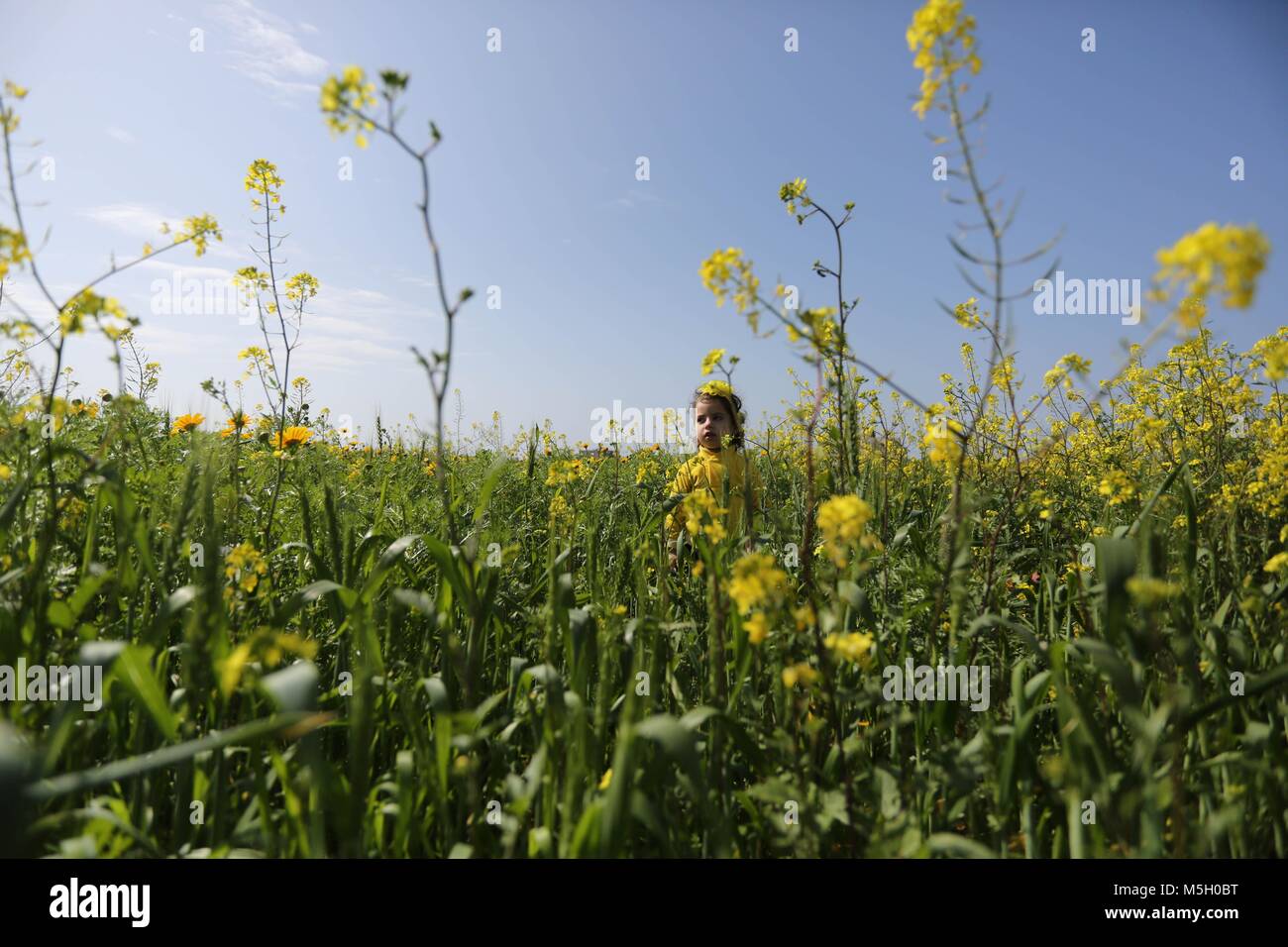 Gaza, Gaza Strip, Palestinian Territory. 23rd Feb, 2018. A Palestinian ...