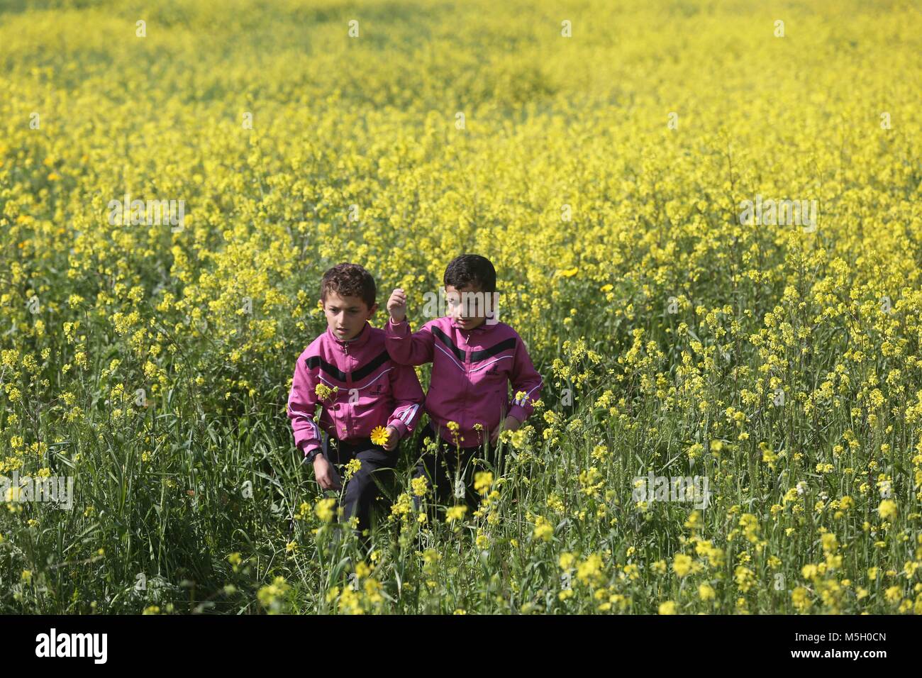 Gaza, Gaza Strip, Palestinian Territory. 23rd Feb, 2018. A Palestinian ...