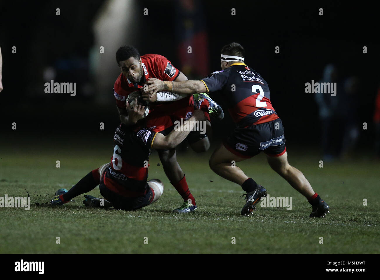 Scottish cross bill hi-res stock photography and images - Alamy