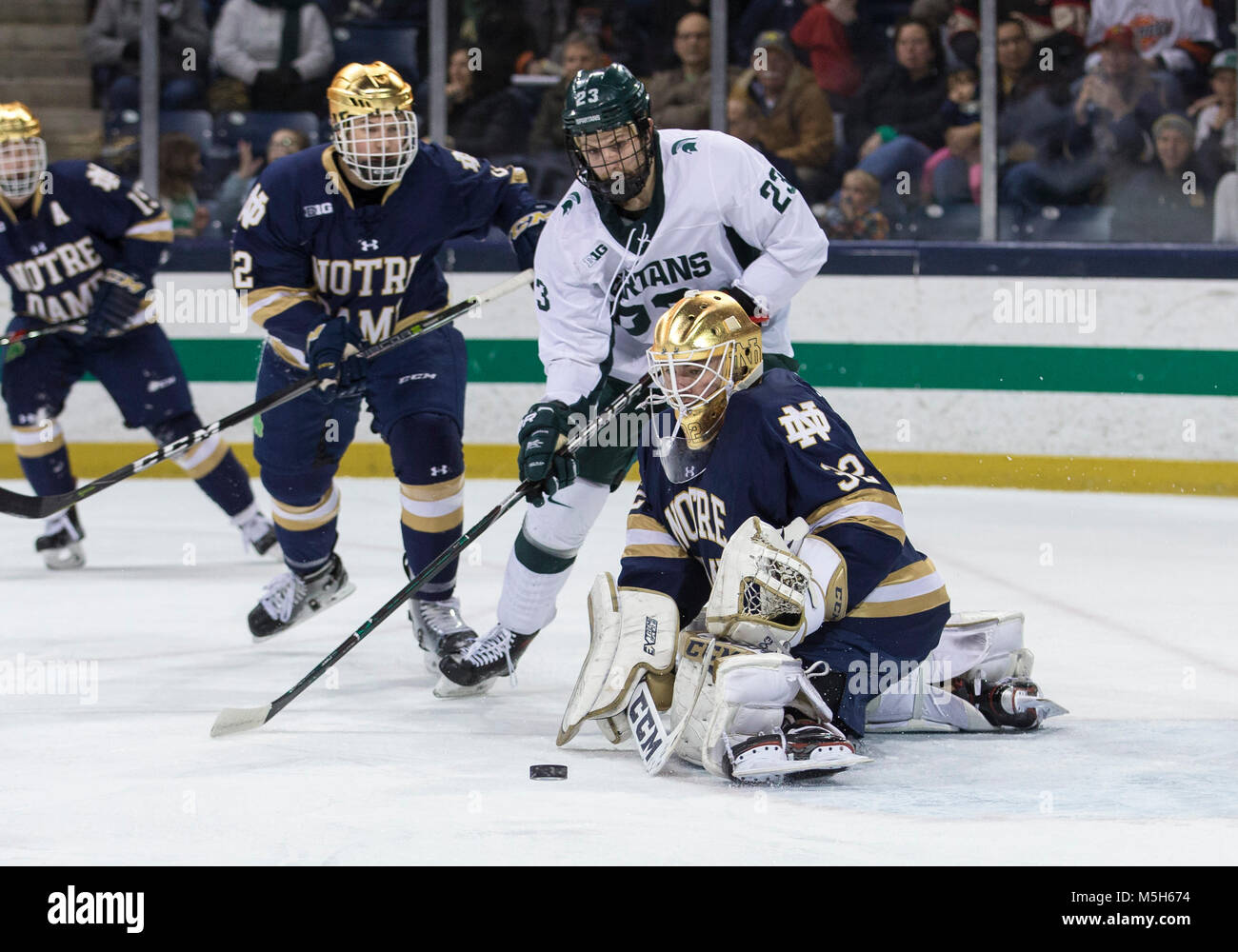 South Bend, Indiana, USA. 23rd Feb, 2018. Notre Dame goaltender Cale ...