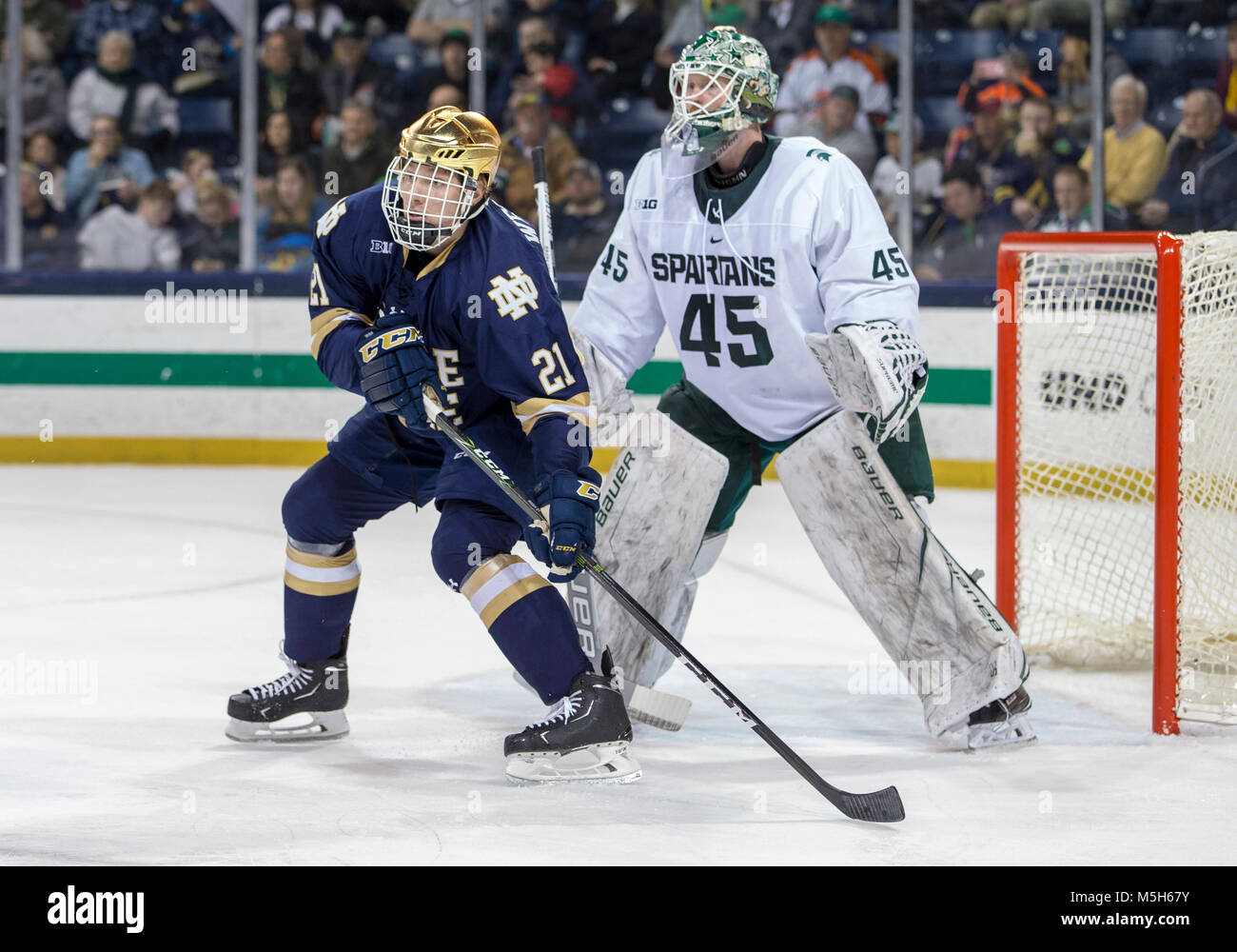 South Bend, Indiana, USA. 23rd Feb, 2018. Notre Dame forward Joe ...