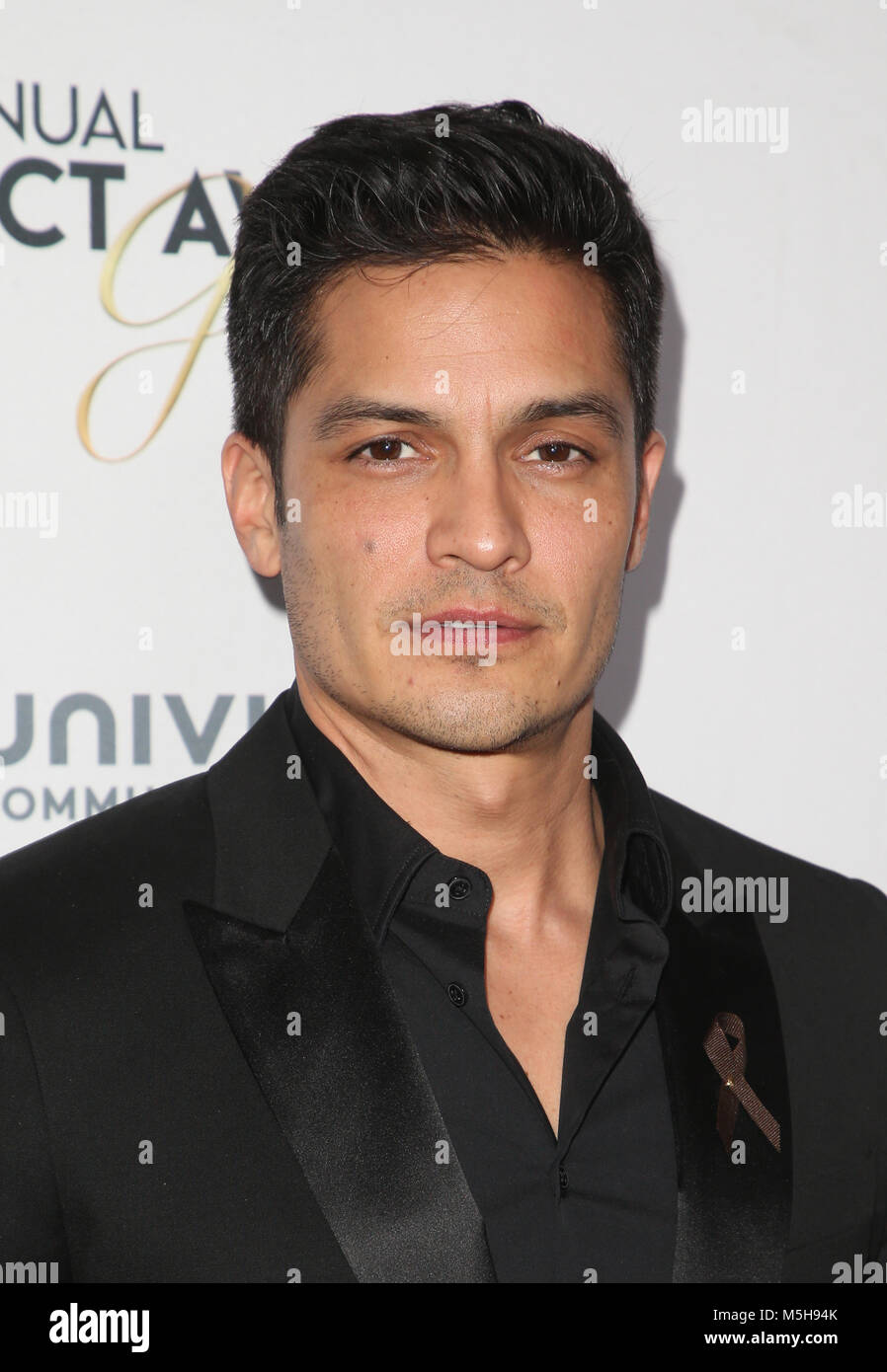 Beverly Hills, Ca. 23rd Feb, 2018. Nicholas Gonzalez, at the NHMC's ...