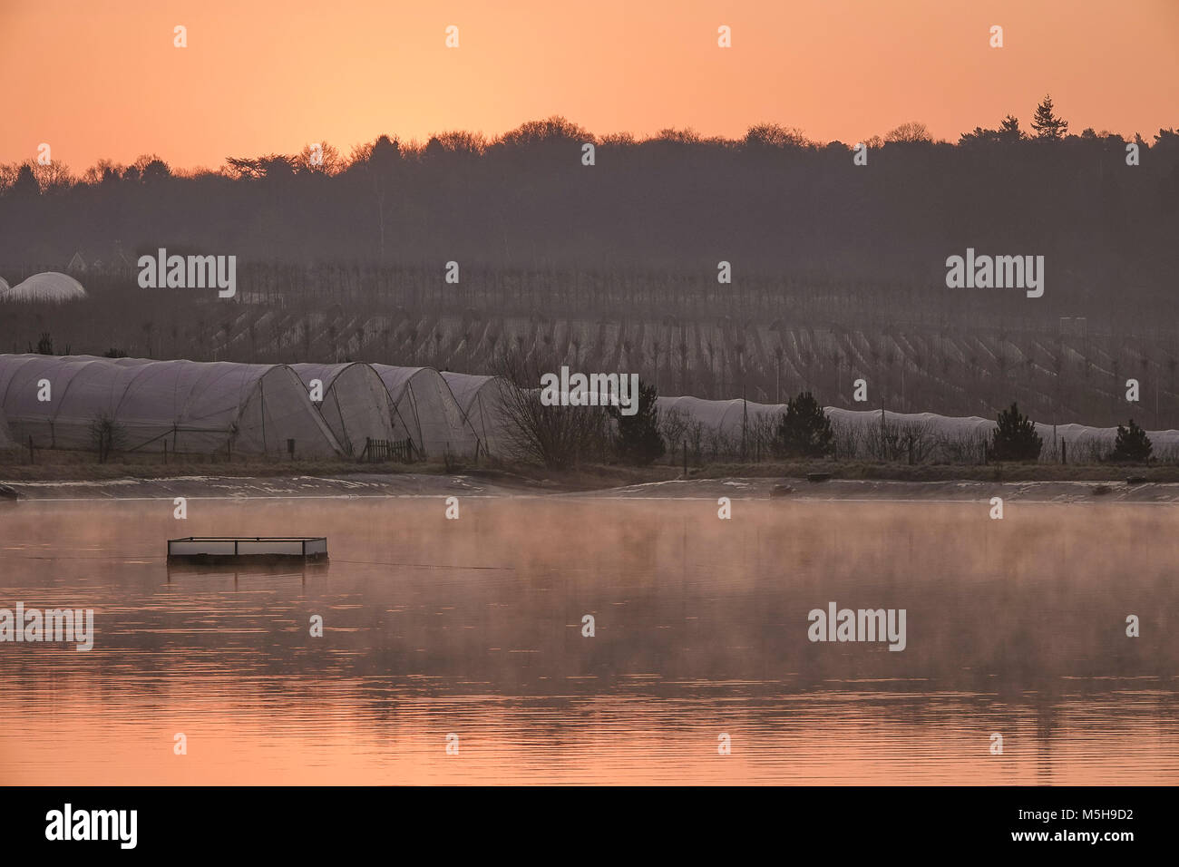 Tuesley Farm, Godalming. 24th February 2018. A bitterly cold start to ...