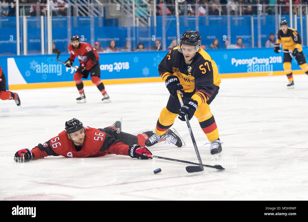 Marcel GOC r. (GER) im duels versus NOREAU Maxim (CAN), Aktion ...