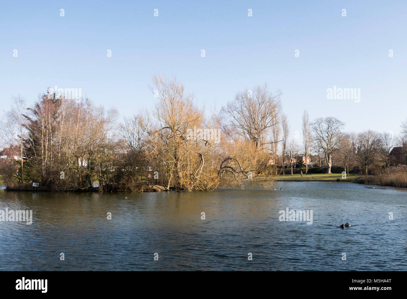 Hailsham england hi-res stock photography and images - Alamy