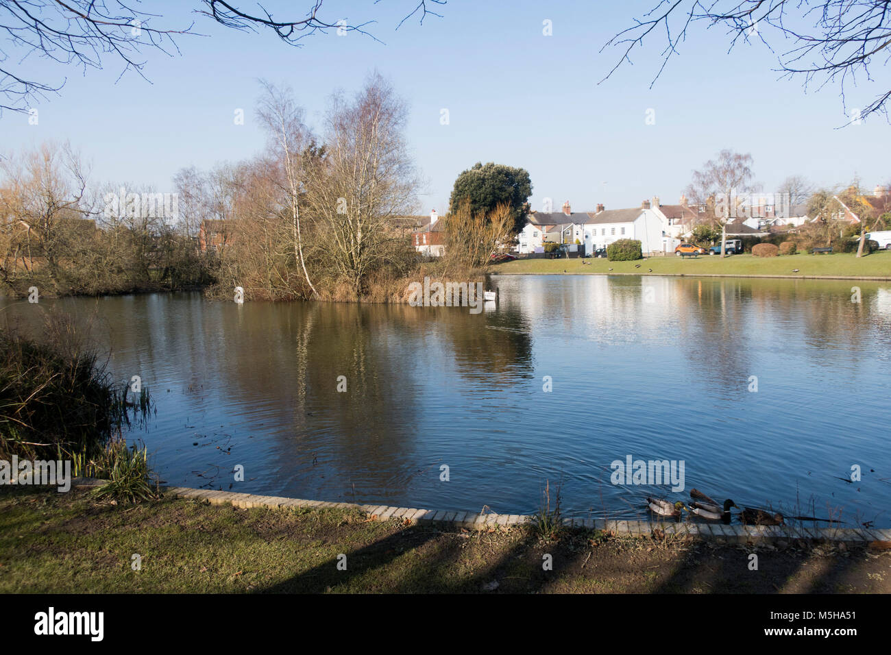 Hailsham England High Resolution Stock Photography and Images - Alamy