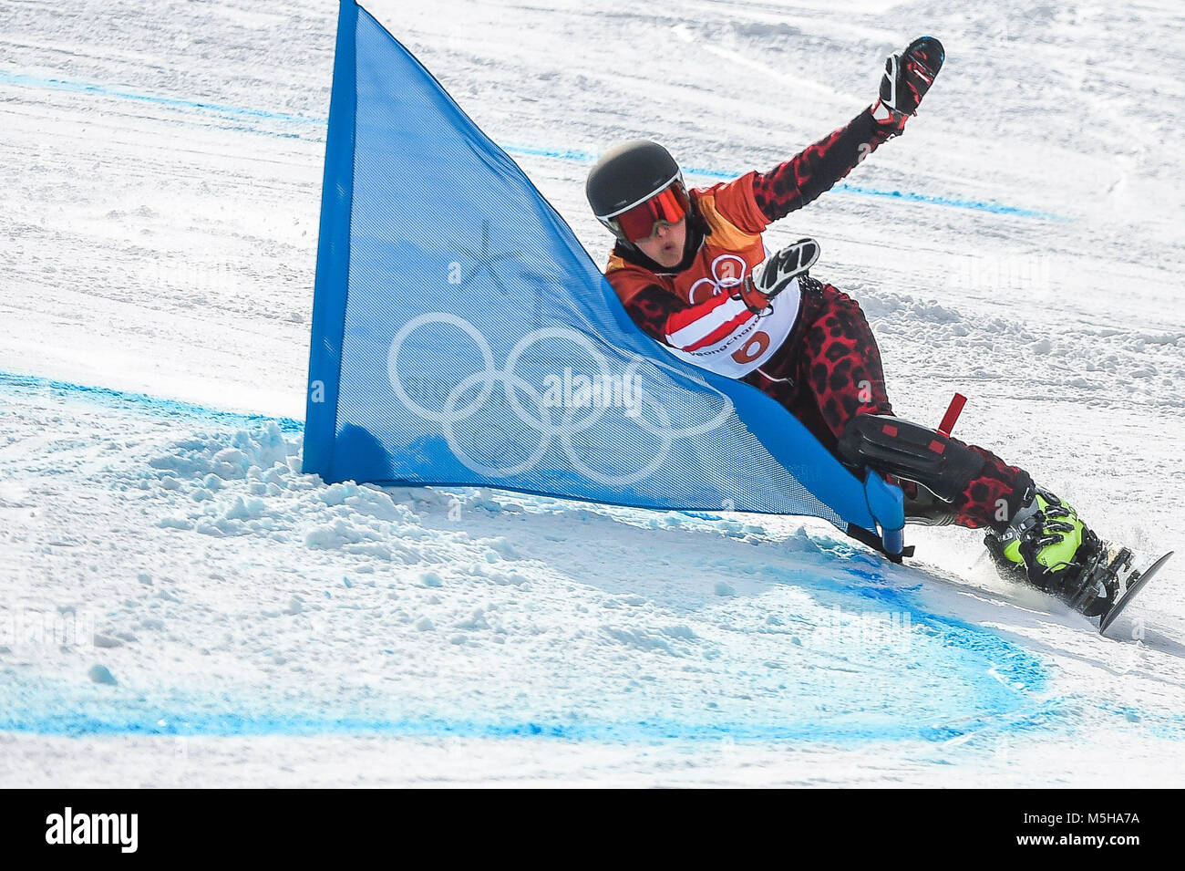 Claudia riegler hi-res stock photography and images - Alamy