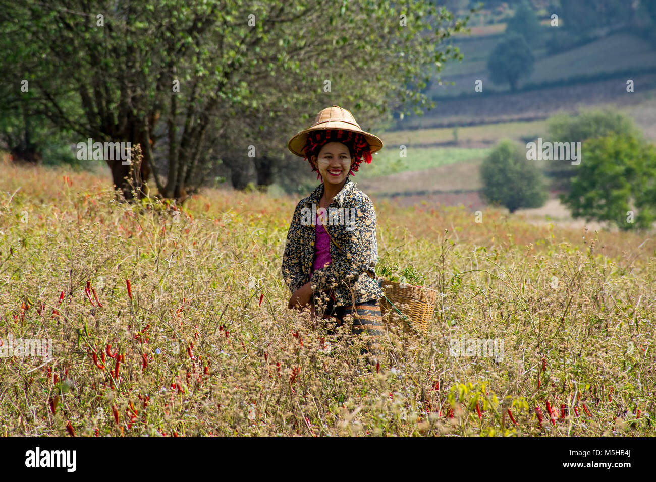 A traditional Burmese chilli farmer along the Kalaw to Inle Lake trek ...