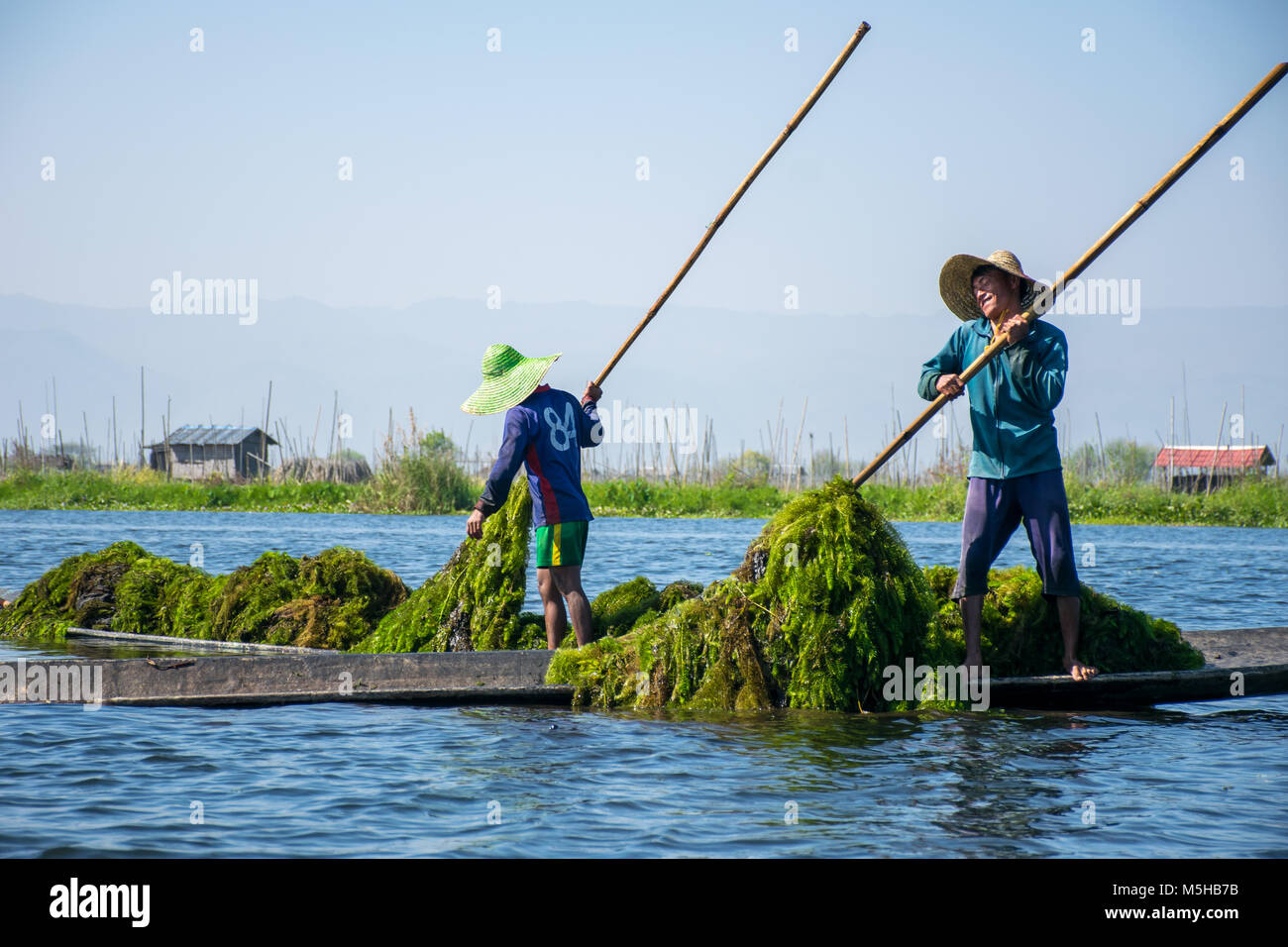 Traditional fish farmers on Inle Lake, Myanmar Stock Photo - Alamy