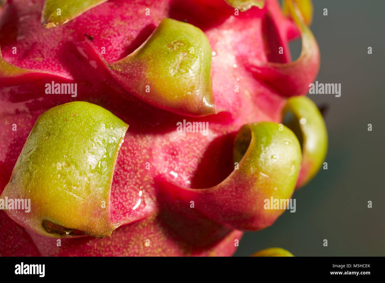 Chinese dragon fruit pitahaya hi-res stock photography and images - Alamy