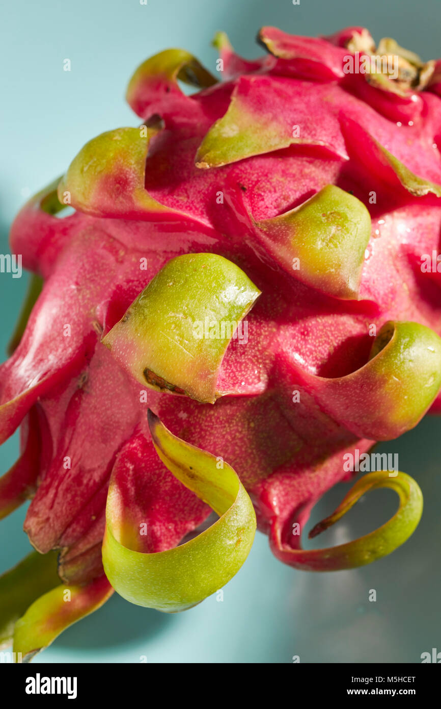 a whole, fresh, ripe Dragon Fruit Stock Photo - Alamy