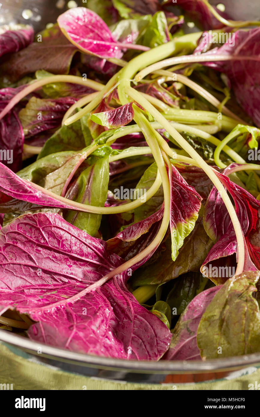 Asian spinach hi-res stock photography and images - Alamy