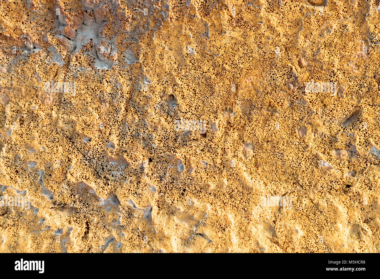 red wall texture porous surface texture of the old house Stock Photo ...