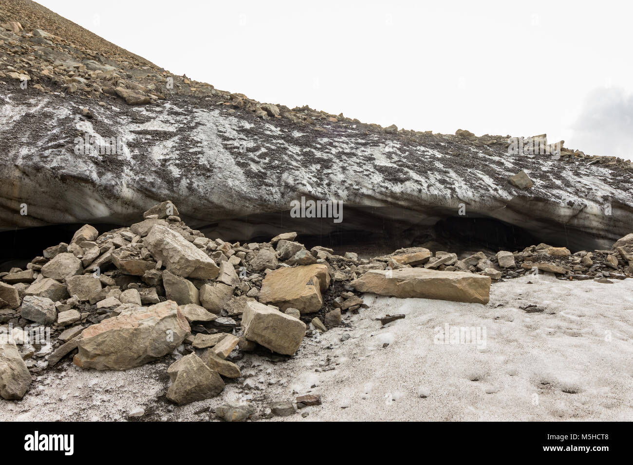 Glacier edge, water dripping from the Longyear Glacier. Longyear Valley ...