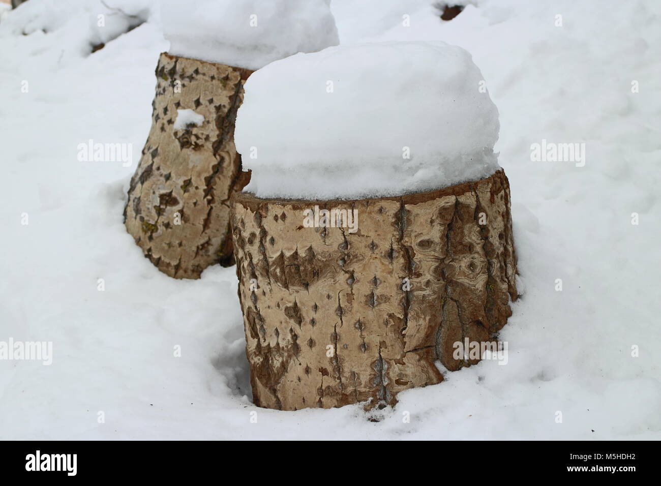 White stub hi-res stock photography and images - Alamy