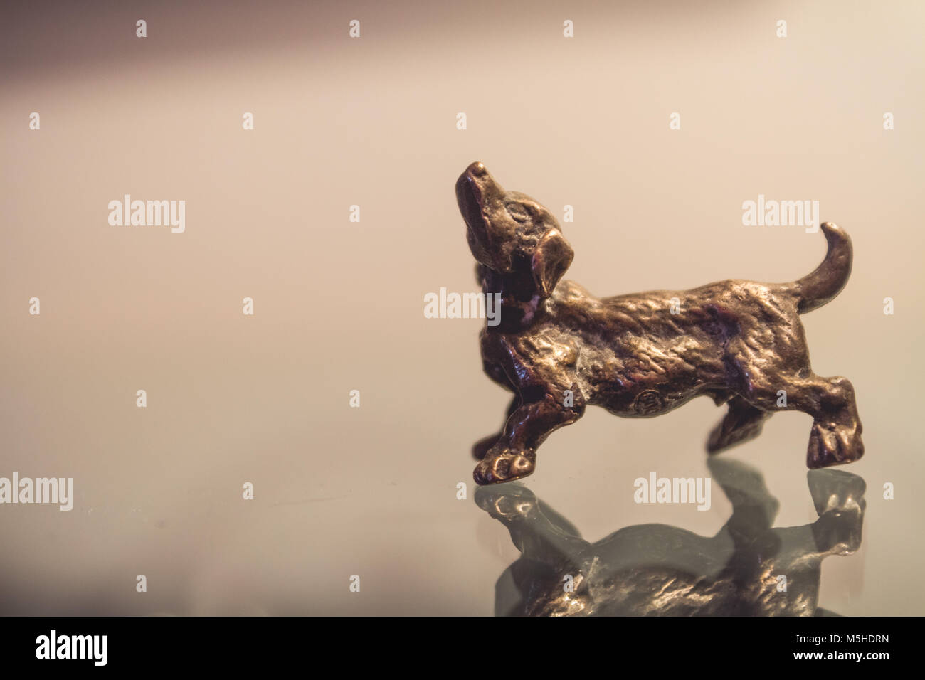 Silver dog hi-res stock photography and images - Alamy