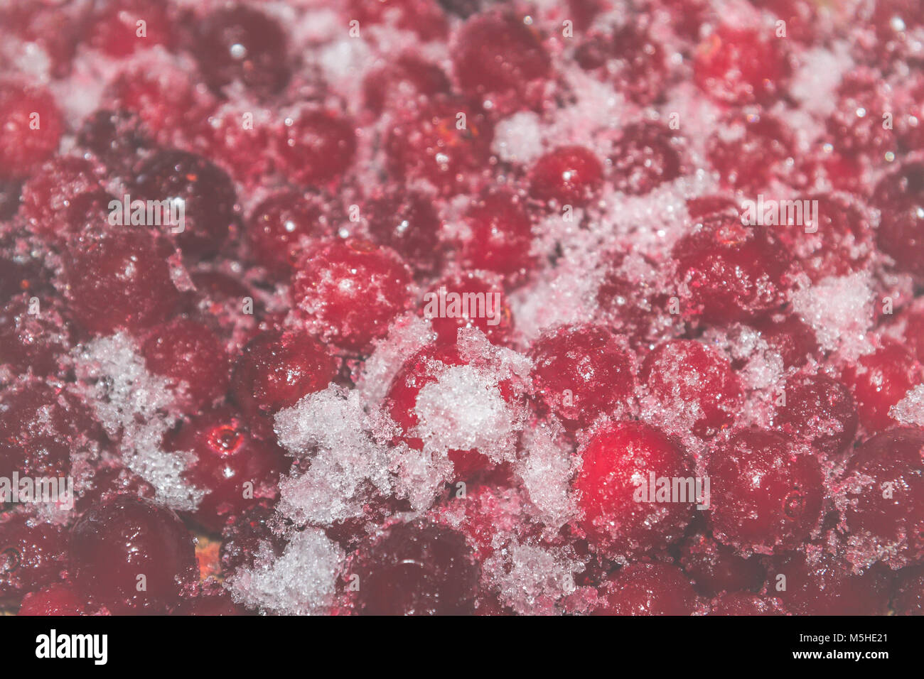 Cold frozen red berry cranberries on the table Stock Photo - Alamy