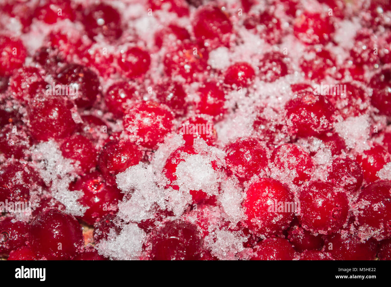 Cold frozen red berry cranberries on the table Stock Photo - Alamy