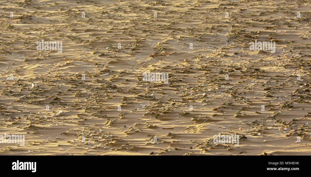 Wind traces forming little hills behind stones and shell shards on the ...