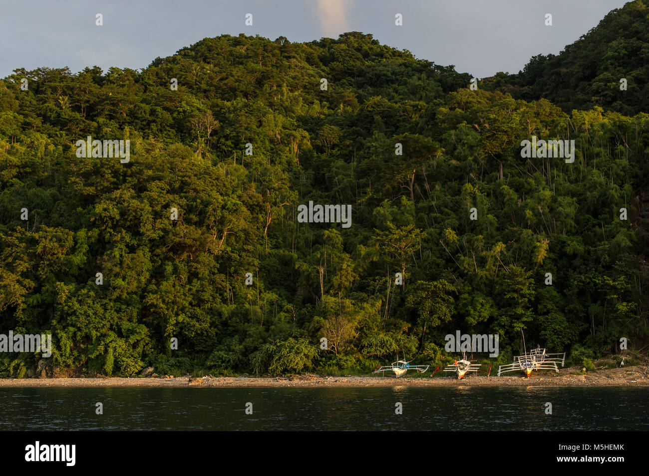 Anilao, Batangas, Philippines, Asia Stock Photo - Alamy
