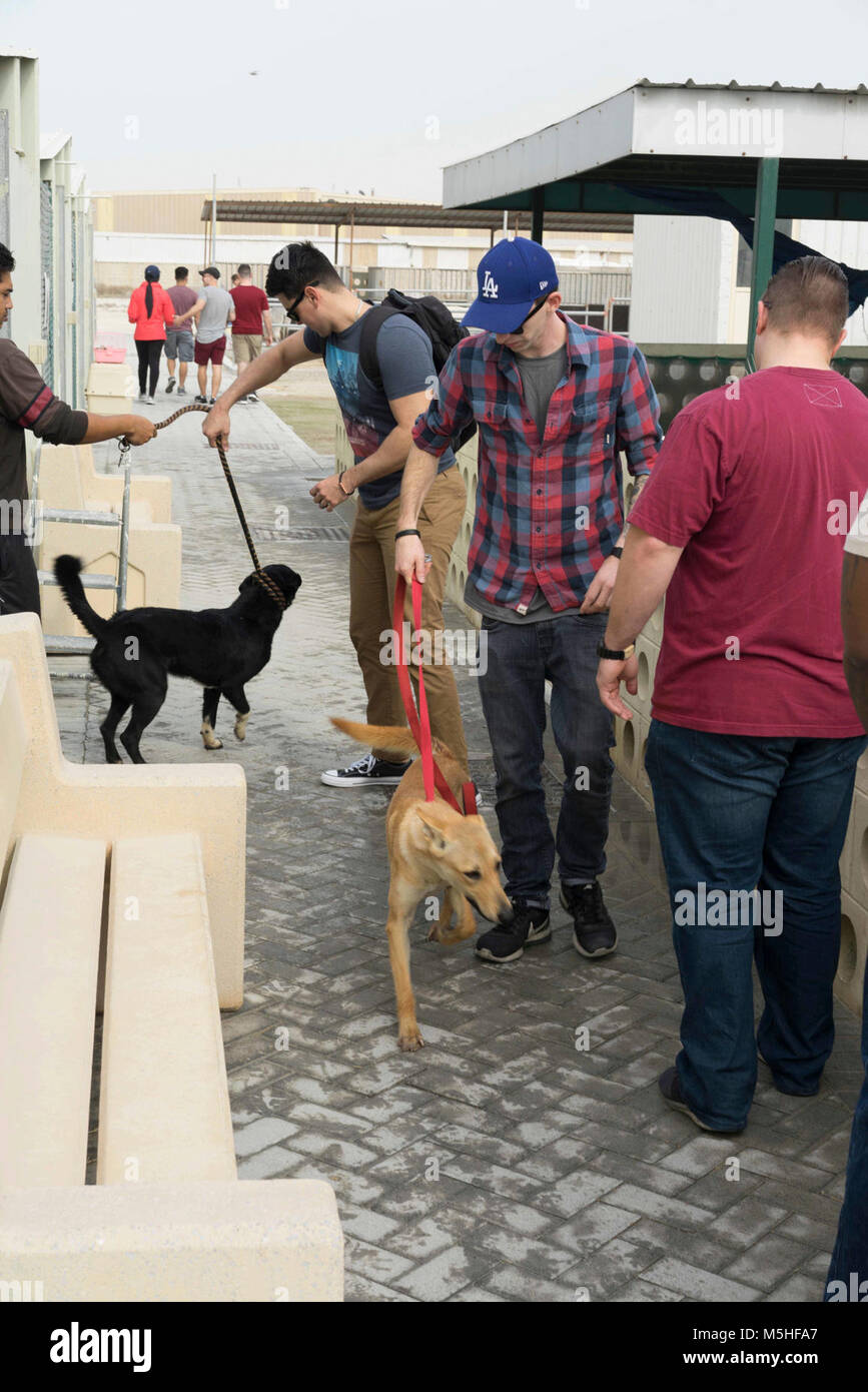 MANAMA, Bahrain (Jan. 26, 2018) Sailors walk dogs at the Bahrain ...