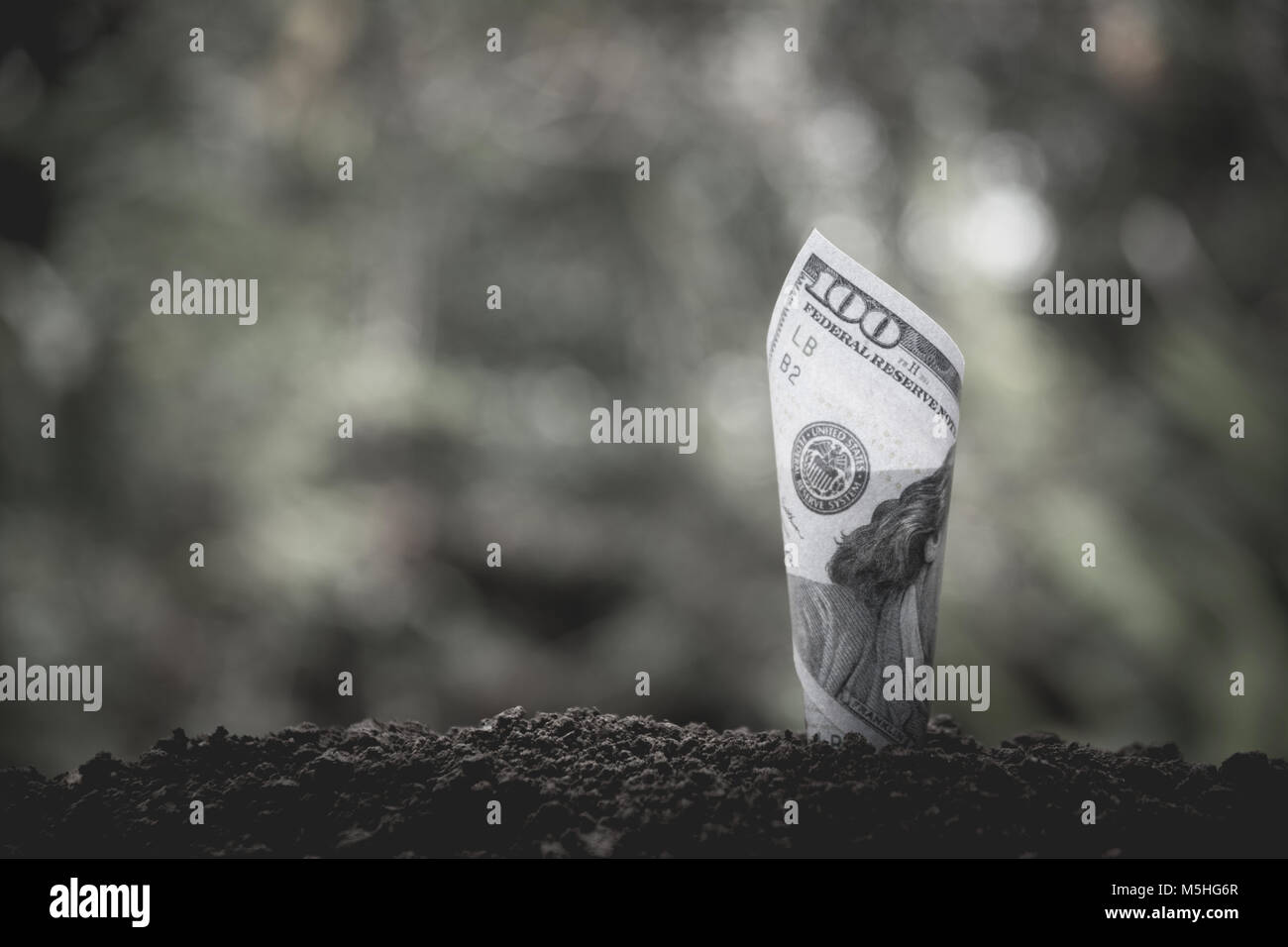 Saving money concept with banknote growing for business. financial and ...