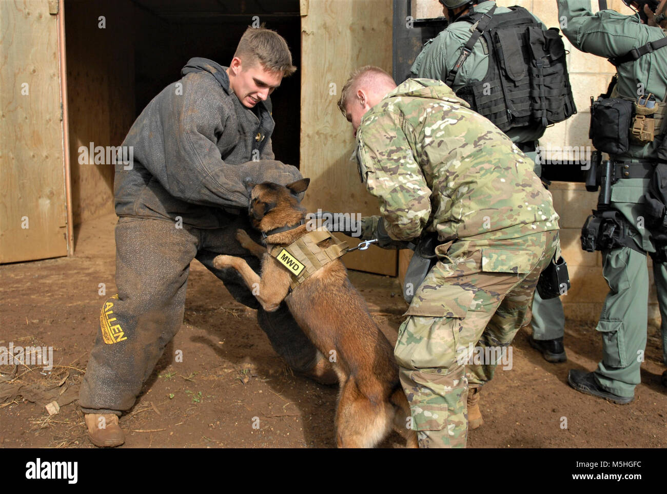 The 520th Military Working Dog Detachment and Honolulu Police ...