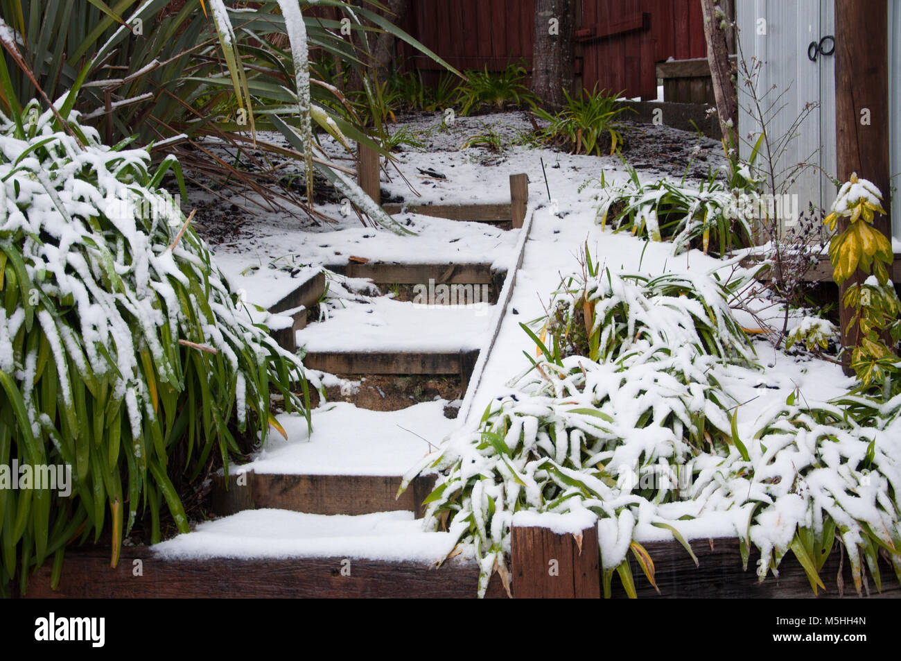 Snow Covered Garden Steps Stock Photo - Alamy