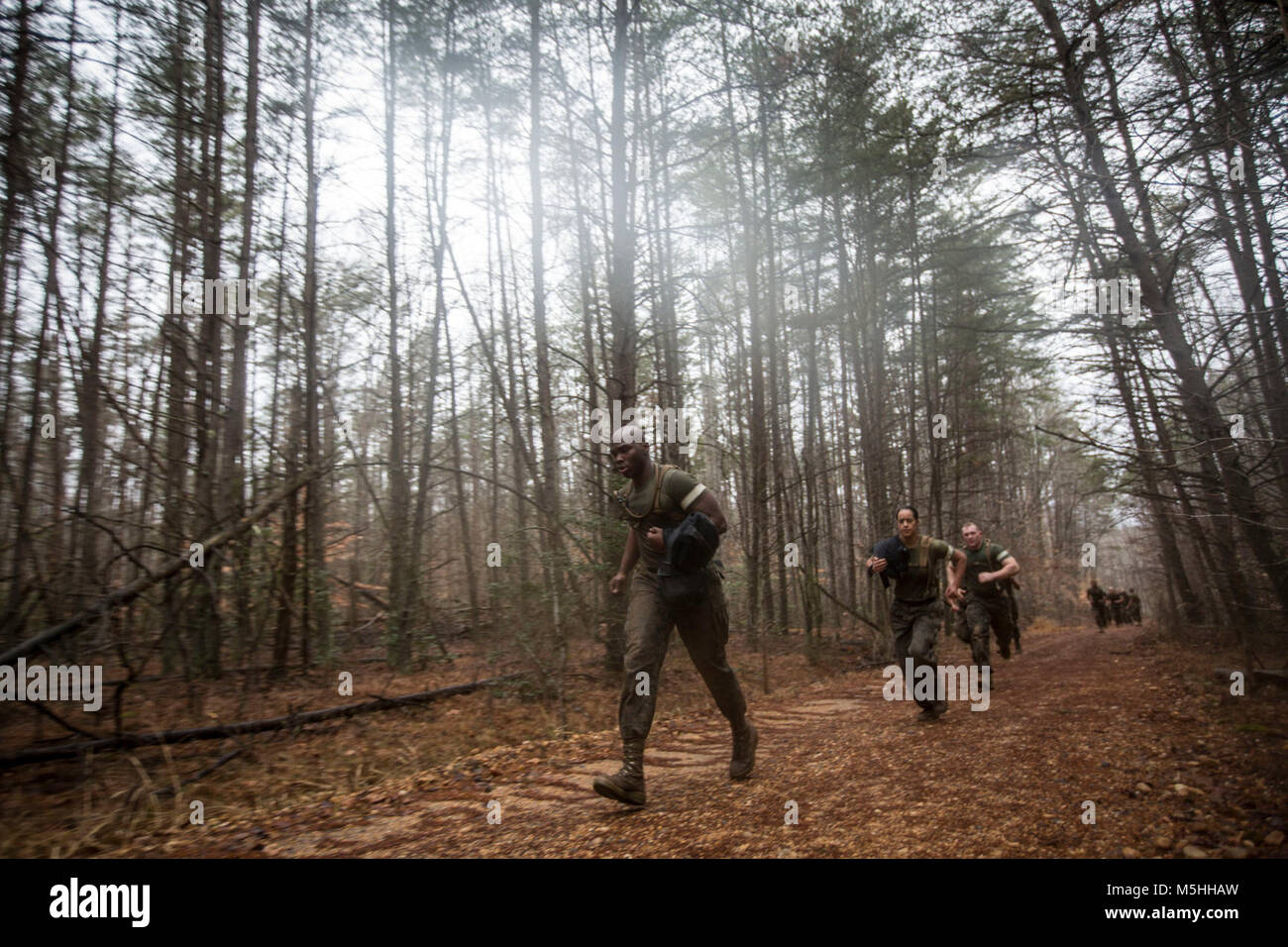 U.S. Marines participate in Force Fitness Instructor (FFI) Course ...