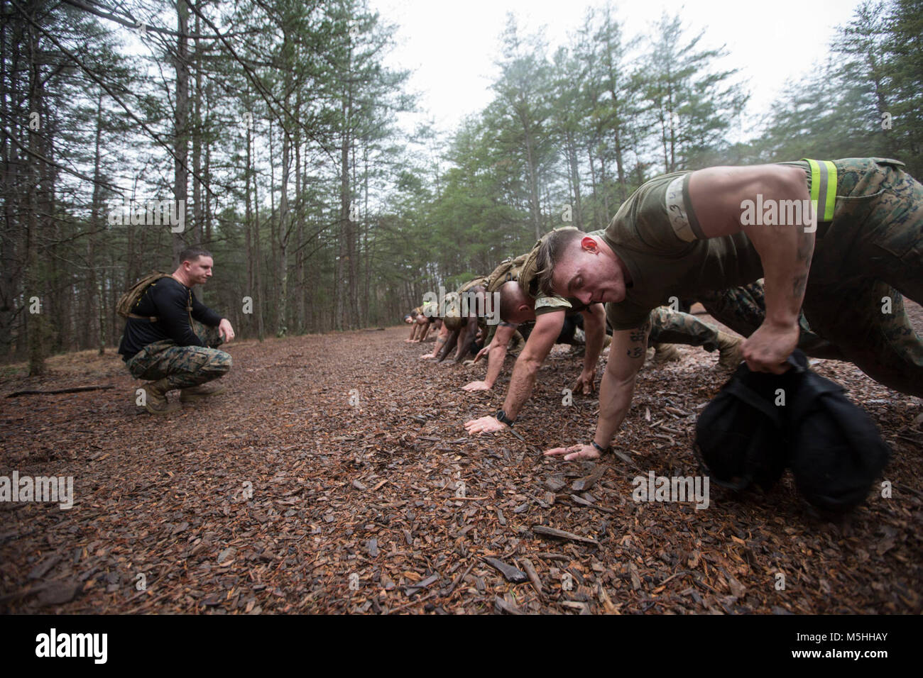 U s army physical fitness school hi-res stock photography and images ...