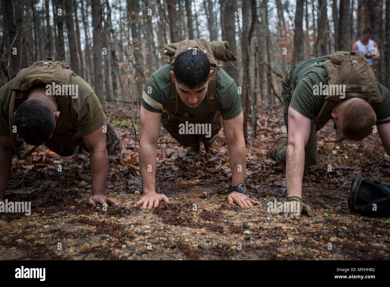 U s army physical fitness school hi-res stock photography and images ...