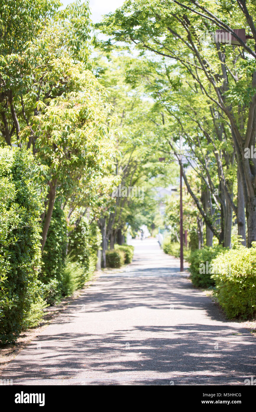 Roadside path pathway hi-res stock photography and images - Alamy